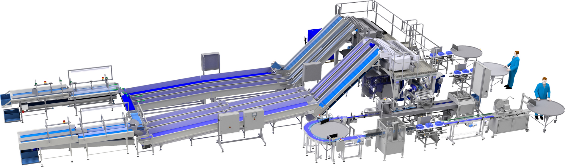 Complete sustainable tomato packaging solutions | JASA